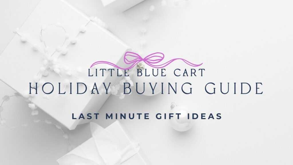 Progressive Holiday Buying Guide - Little Blue Cart