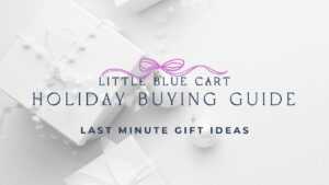 Progressive Holiday Buying Guide - Little Blue Cart