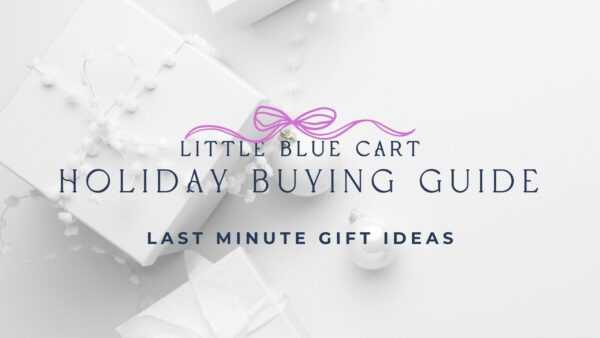 Progressive Holiday Buying Guide - Little Blue Cart